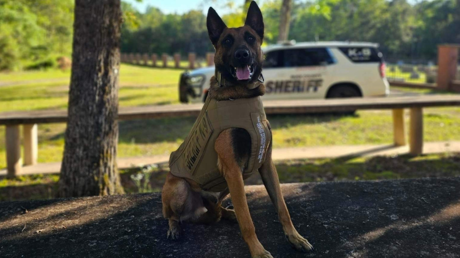 Nonprofit donates body armor to K9 in Rusk County | cbs19.tv