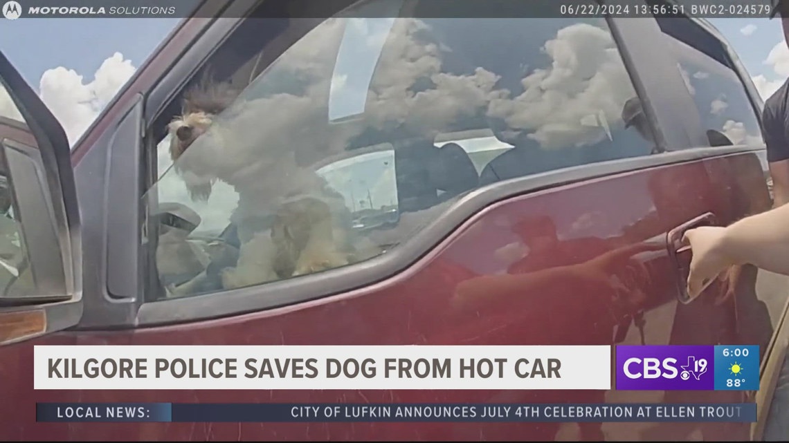 Kilgore police rescue dog from car, says leave your furry animals at ...