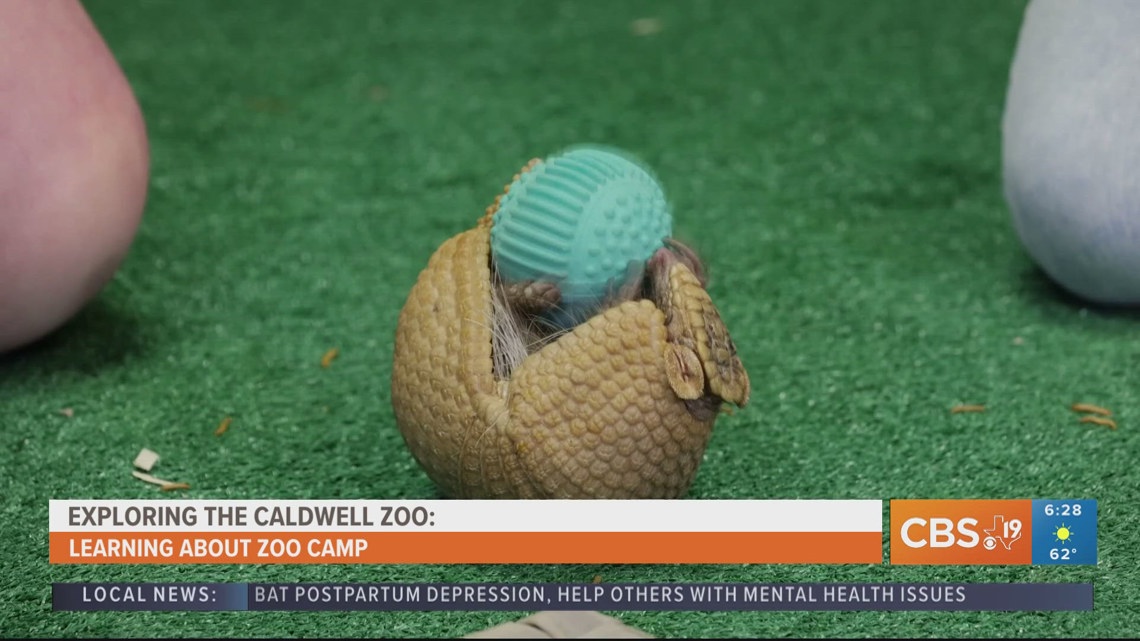 Ed-Zoo-cation opportunities available this summer at Caldwell Zoo ...