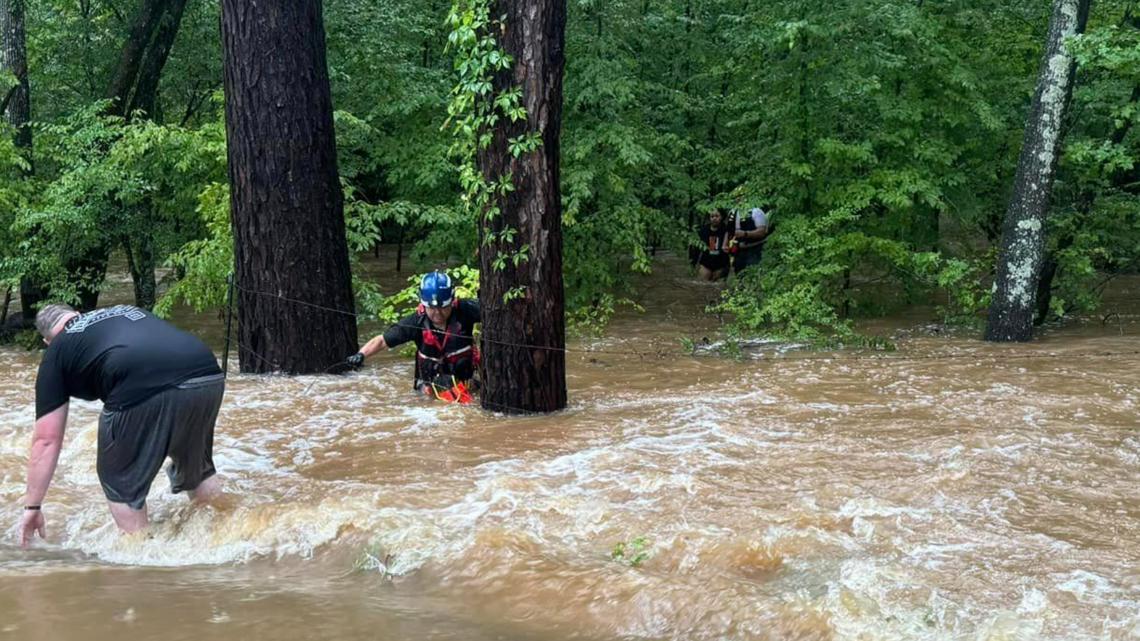 Reagan Roy - Journalist Profile - Intelligent Relations