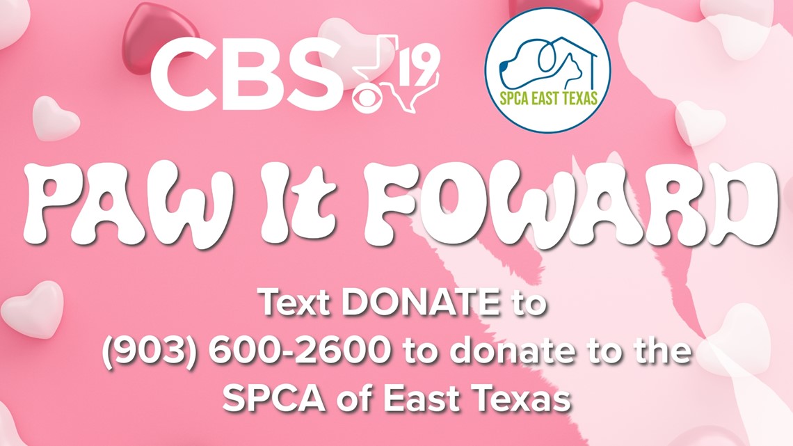 PAW IT FORWARD: SPCA of East Texas, CBS19 team up to raise funds for furry friends in need ...