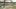 East Texas dog breeder indicted after social media video shows her ...