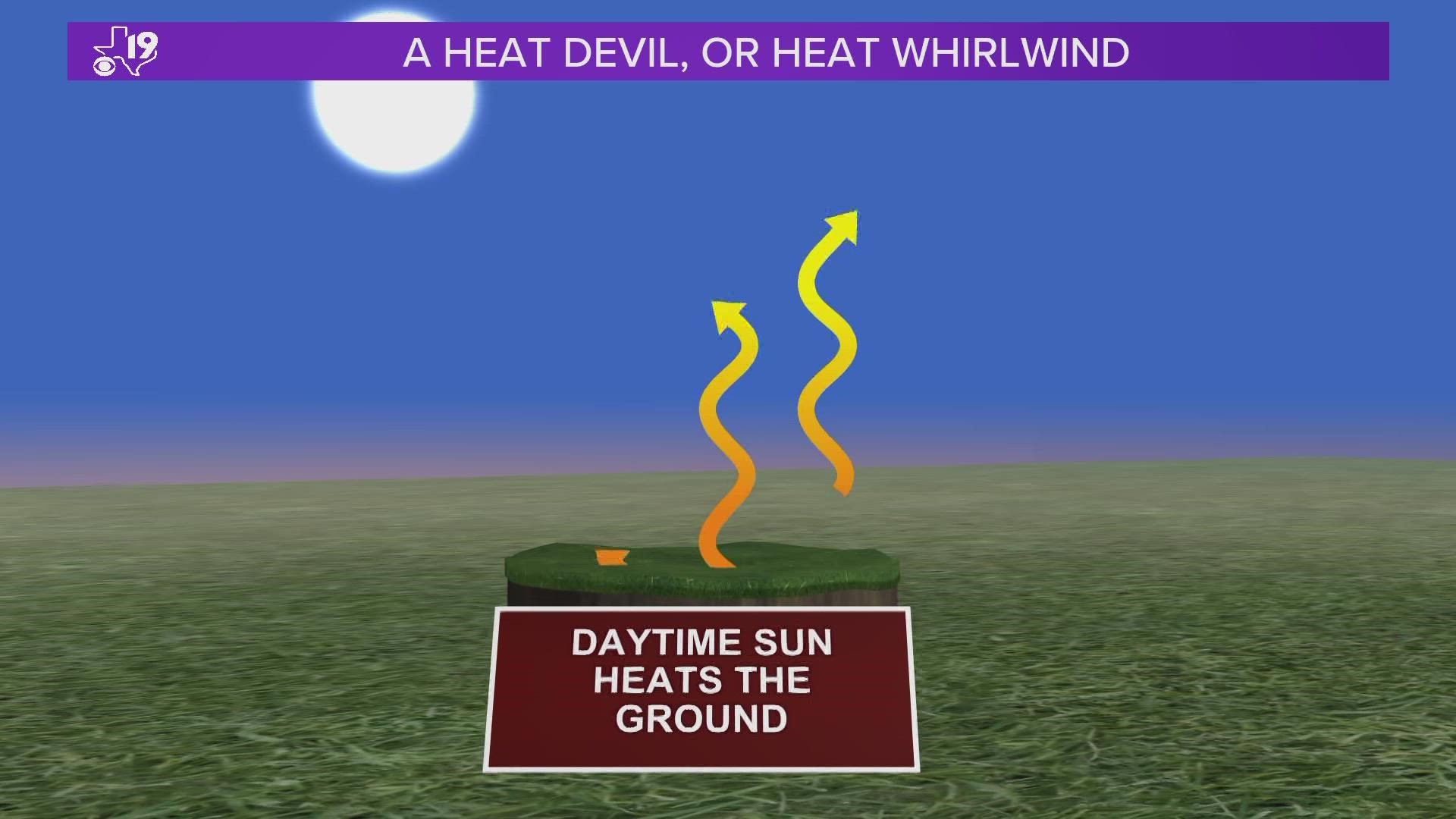 VERIFY: Dead bull shark found in Trinity River | cbs19.tv