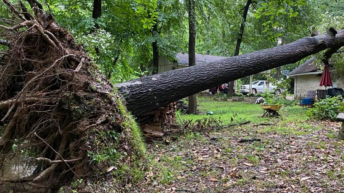 How to report storm damage to state emergency officials | cbs19.tv