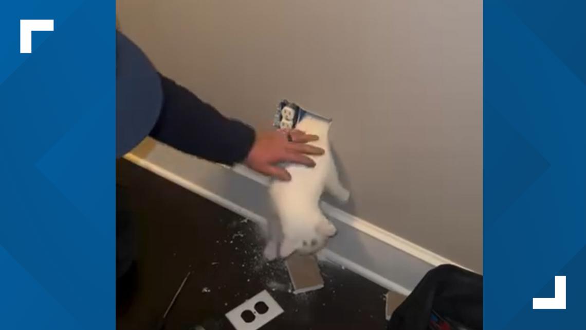 Texas Firefighters Rescue Cat Stuck Inside Owners Wall Cbs19tv 1468