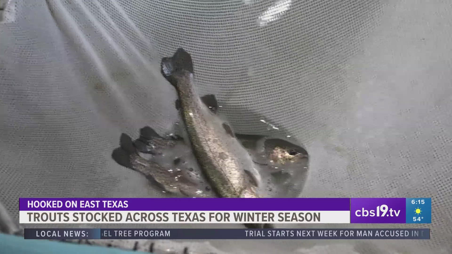 Trout season returns to Texas | cbs19.tv