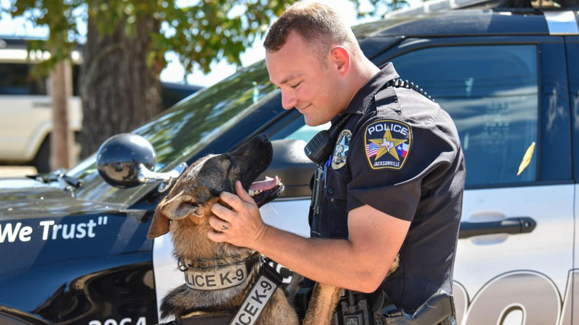 Jacksonville Police Department welcomes new K-9 officer | cbs19.tv
