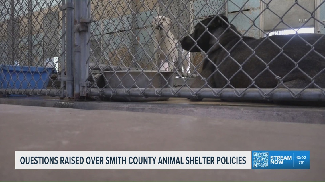 Debate grows over Smith County Animal Shelter policies as space runs ...