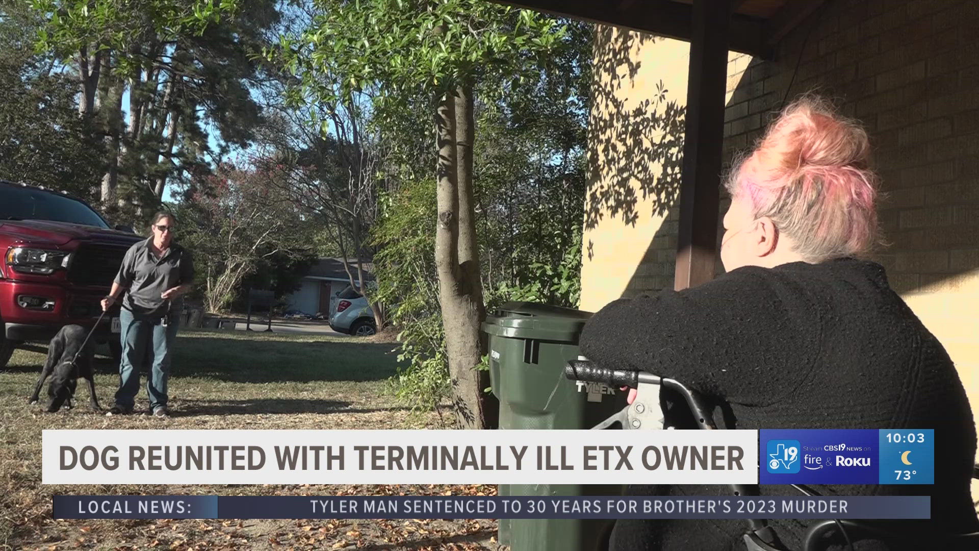Tyler woman reunited with dog missing for four months with help from ...
