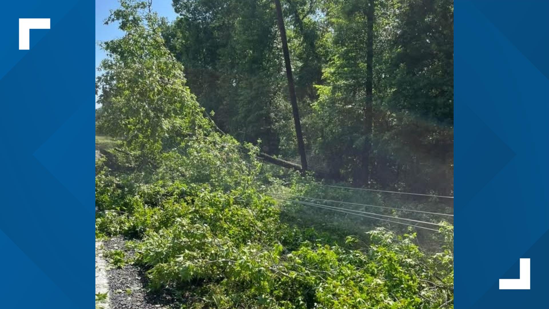 PHOTOS: Storms leave damage in Quitman area | cbs19.tv
