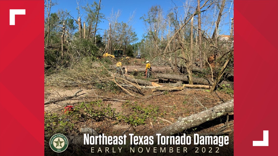 Damaged timber in East Texas estimated at $13M | cbs19.tv