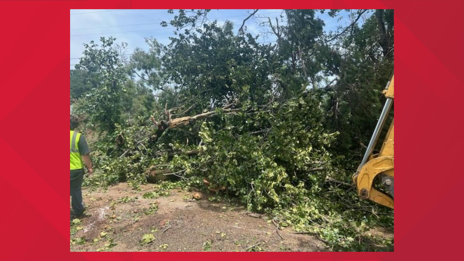 Meet the Team | CBS19 KYTX | Tyler, Texas | cbs19.tv