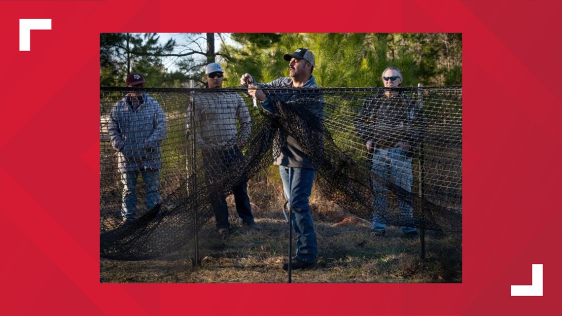 20 people attended the first Wild Hog Abatement Program meeting | cbs19.tv