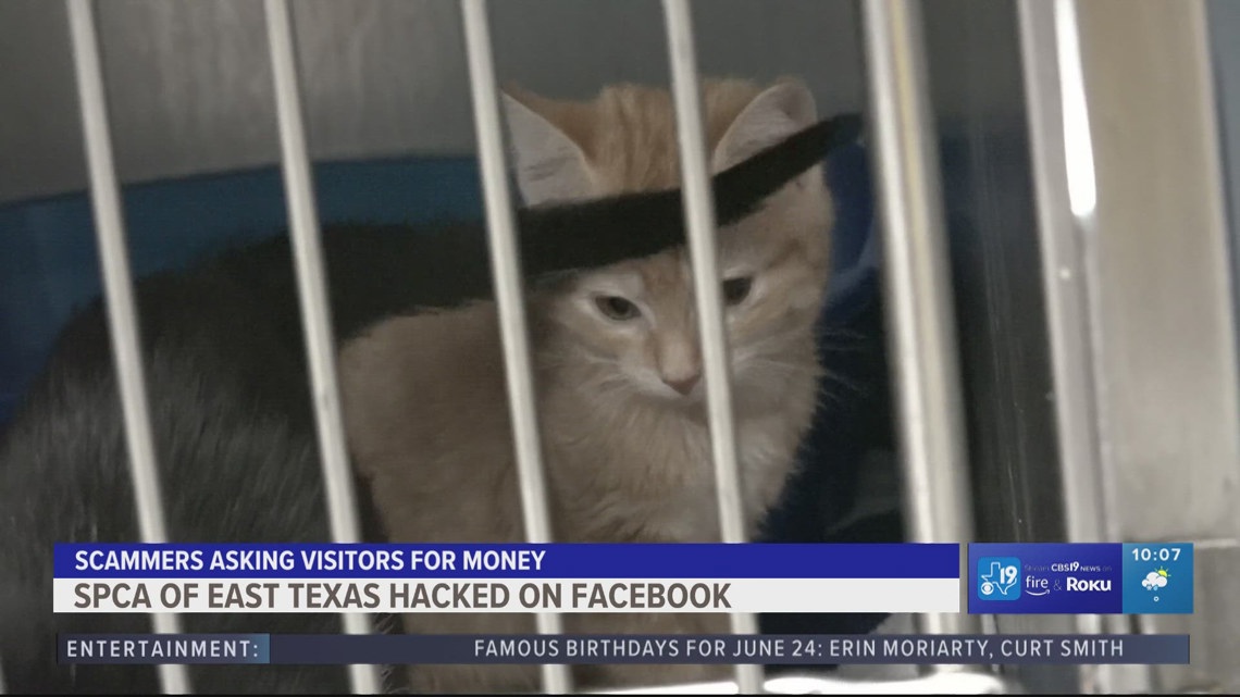 East Texas SPCA trying to get Facebook account back from hackers | cbs19.tv