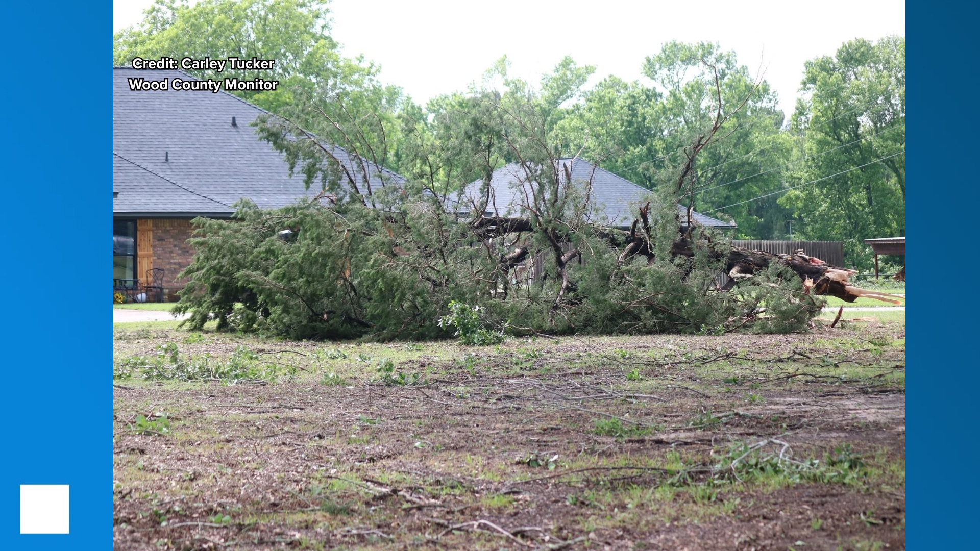 PHOTOS: Storms leave damage in Quitman area | cbs19.tv