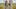 East Texas native Kacey Musgraves collaborates with Lee Jeans for ...