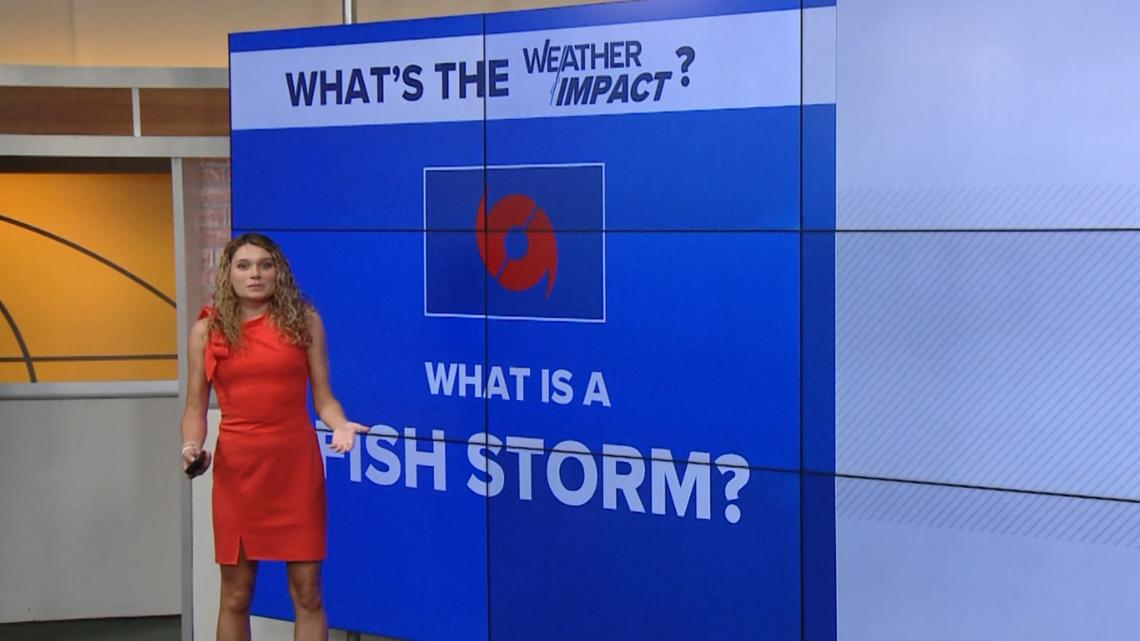 What is a fish storm? | cbs19.tv