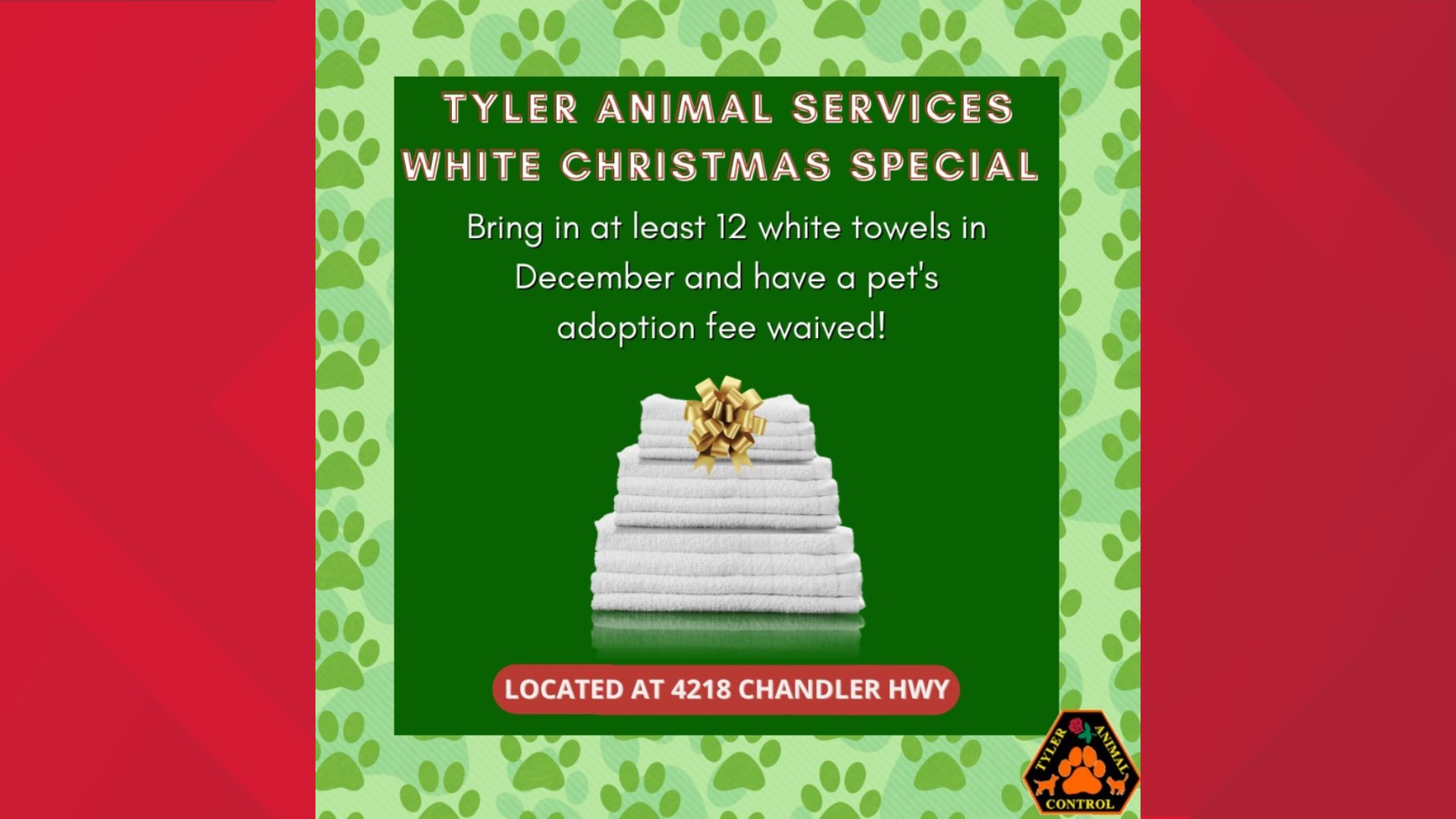 Tyler Animal Shelter offers no cost adoption for December special ...