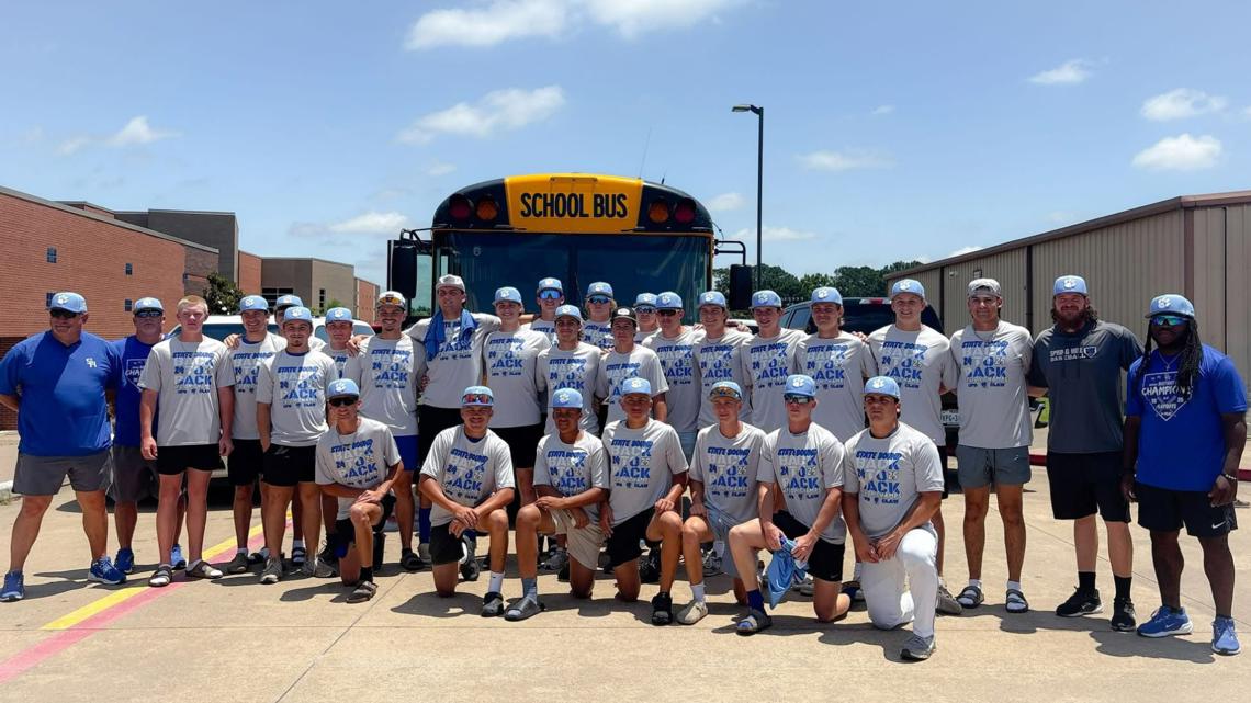 Spring Hill Panthers defeat Brock Eagles, advance to state baseball ...
