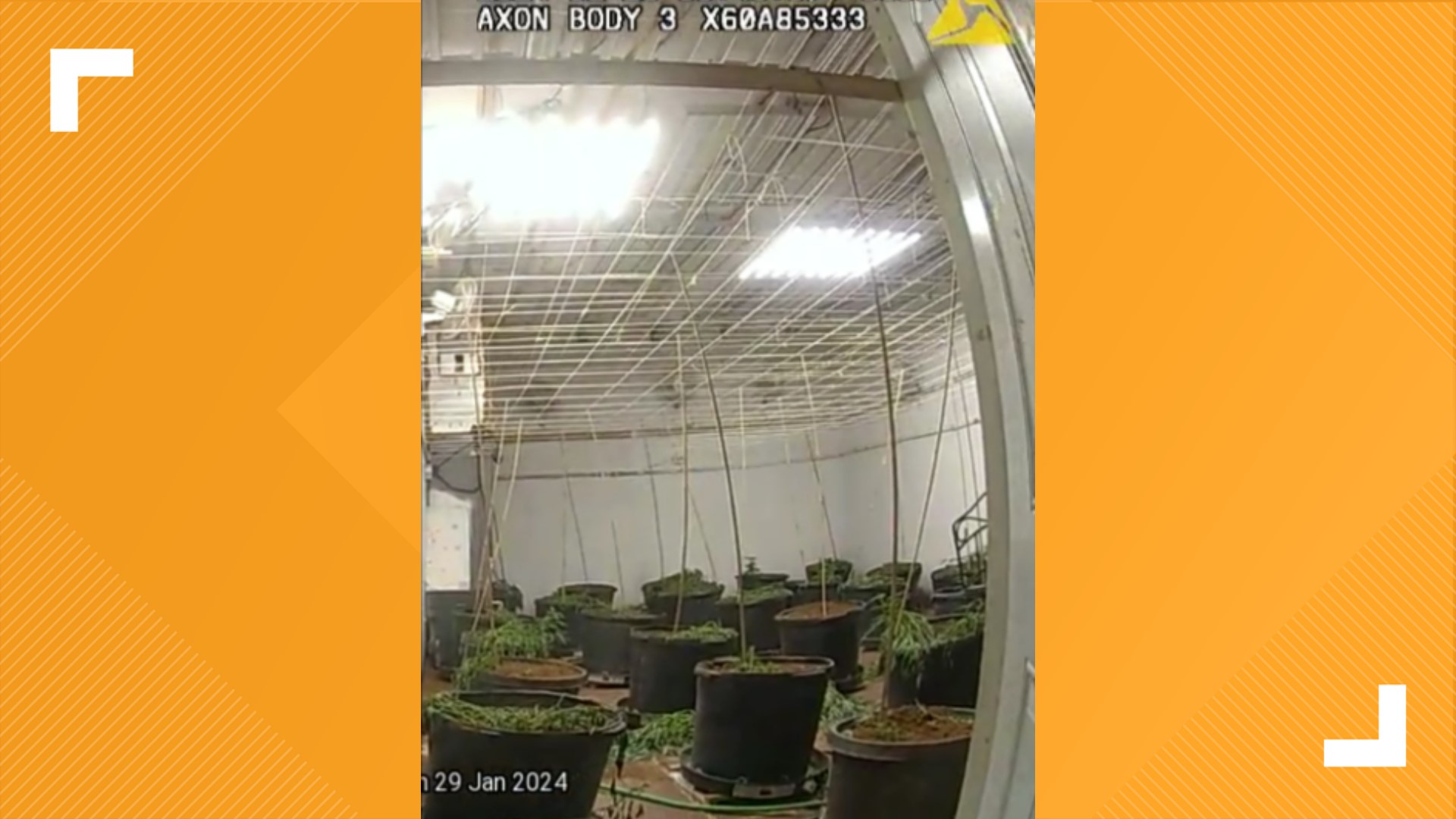 Explosion leads to discovery of 'significant' marijuana grow in Upshur ...