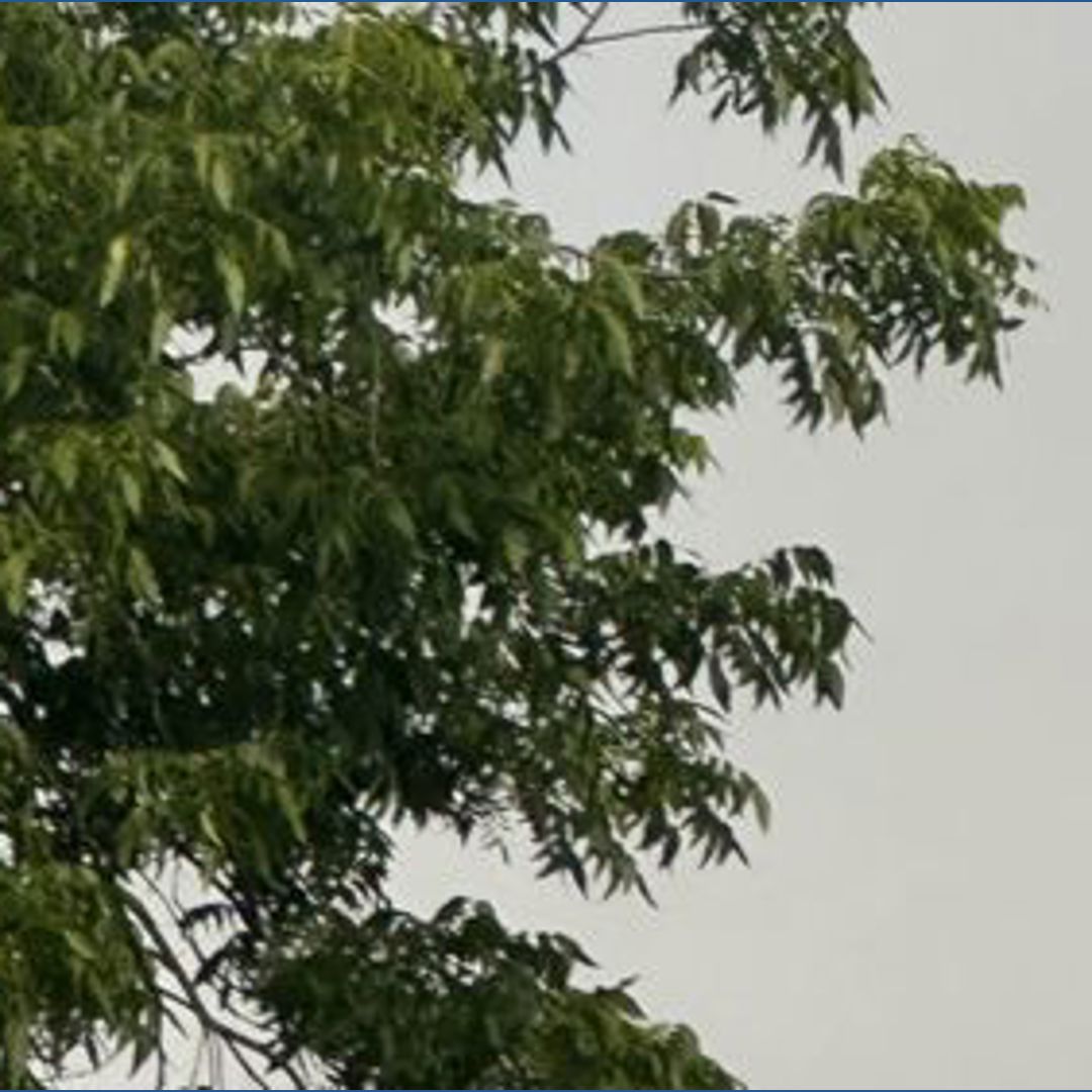 FAA: Plane crash that killed Frankston man happened 'under unknown ...