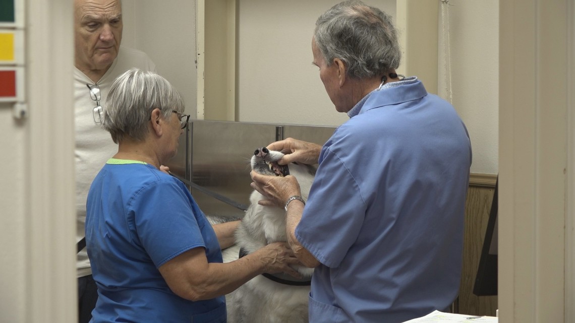 East Texas veterinarian set to retire after 40 years | cbs19.tv