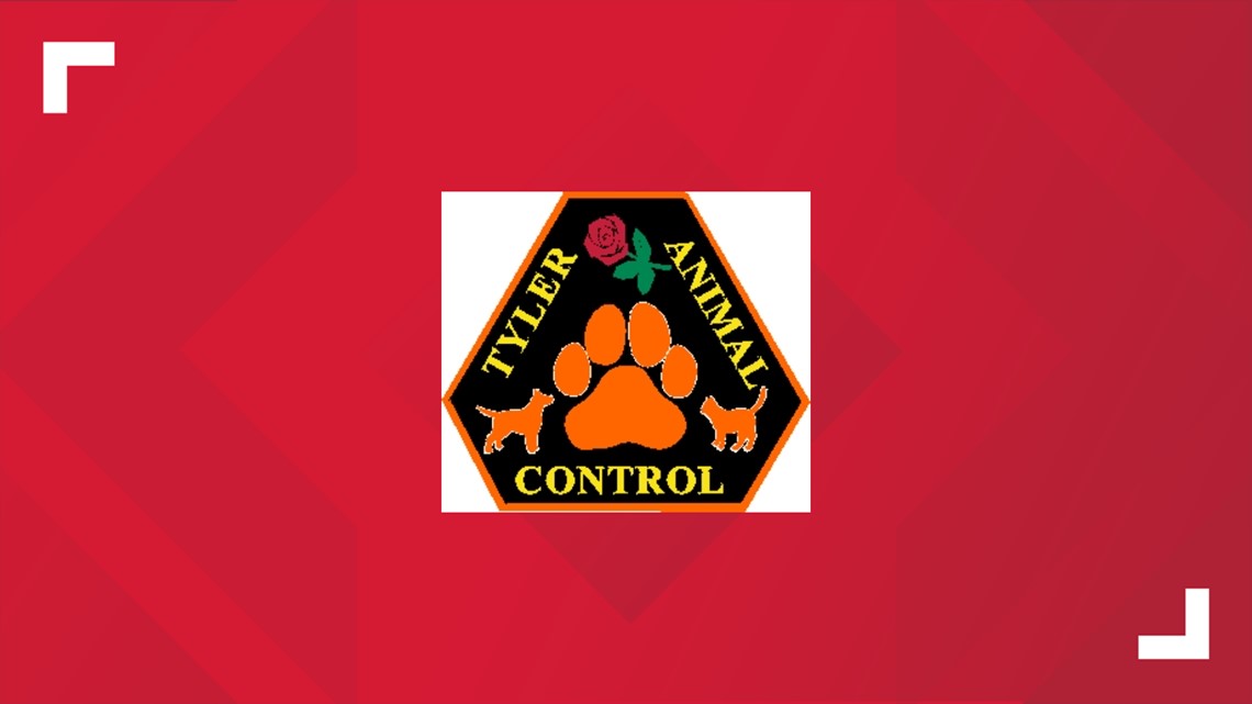 Tyler Animal Services offering free adoptions in November | cbs19.tv