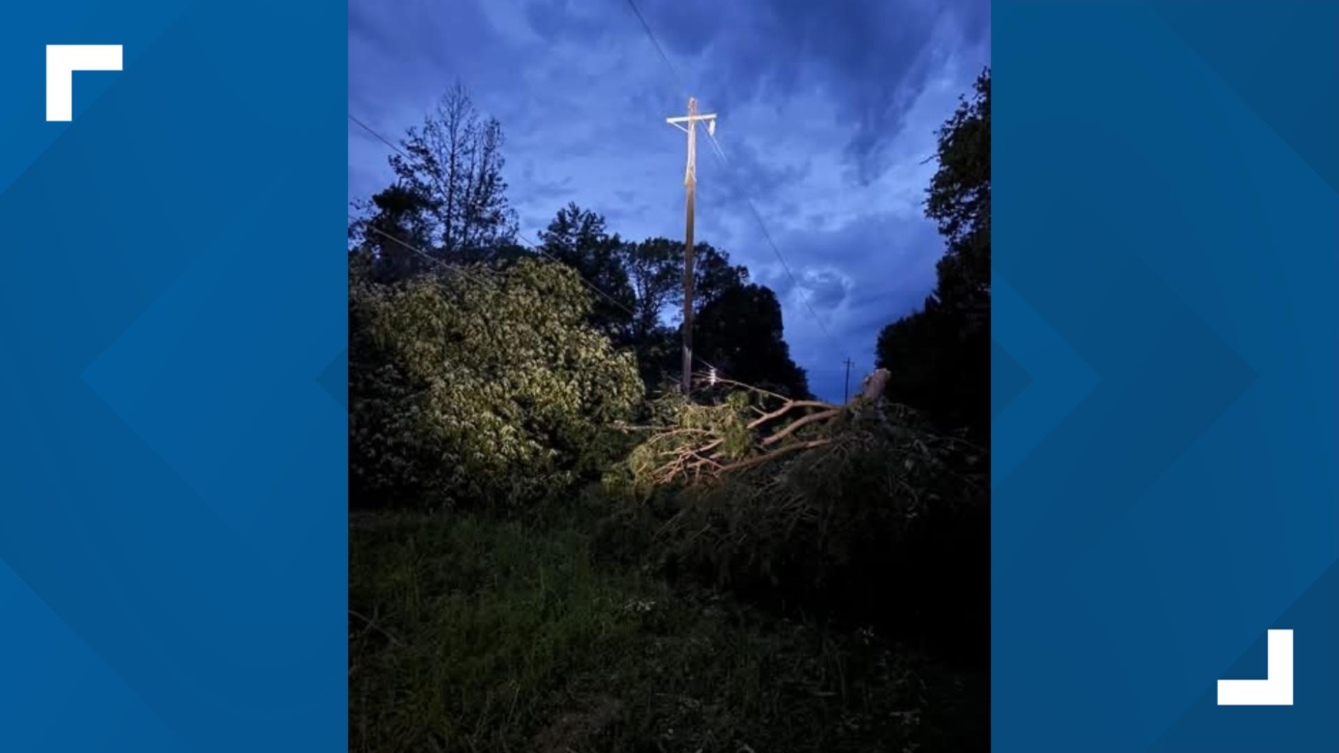 PHOTOS: Storms leave damage in Quitman area | cbs19.tv
