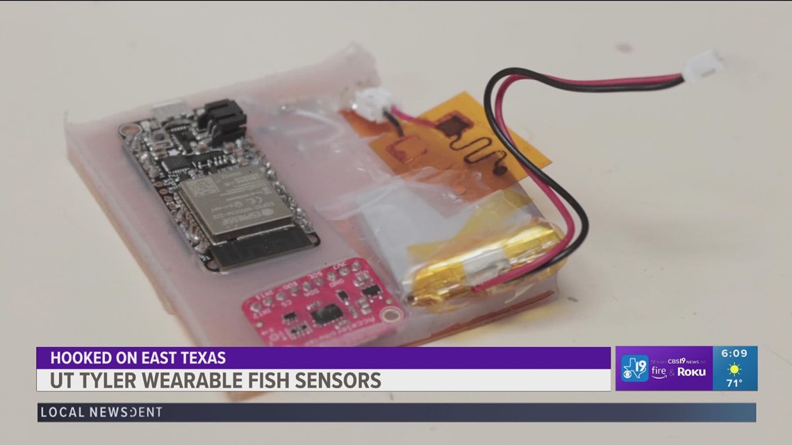 UT professor is creating technology to help save fishes | cbs19.tv