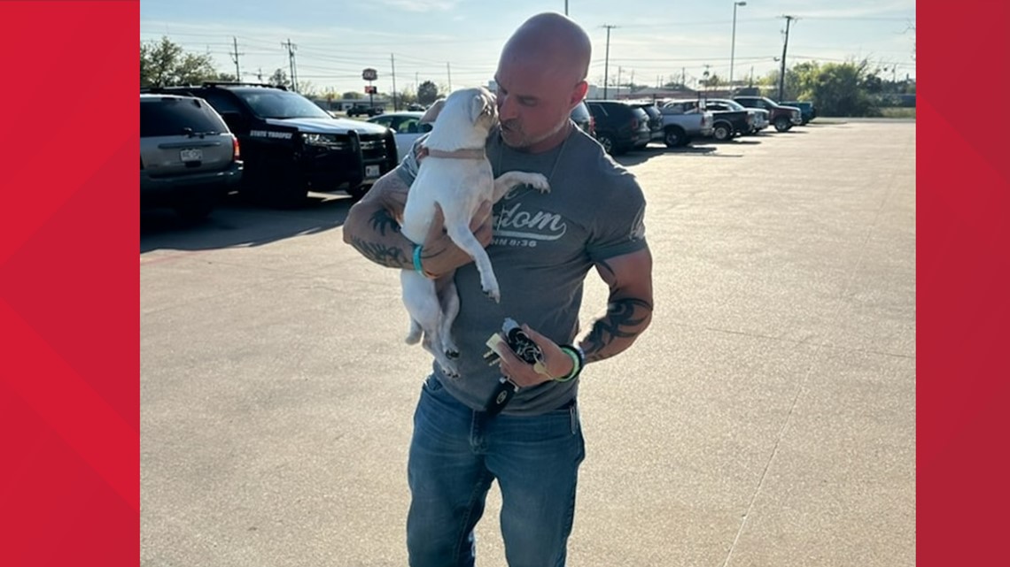 First responders rescue family's chihuahua after East Texas wreck ...