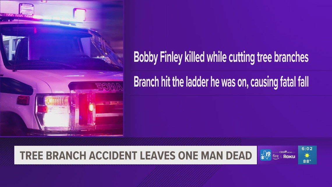 Tree branch accident leaves one man dead | cbs19.tv