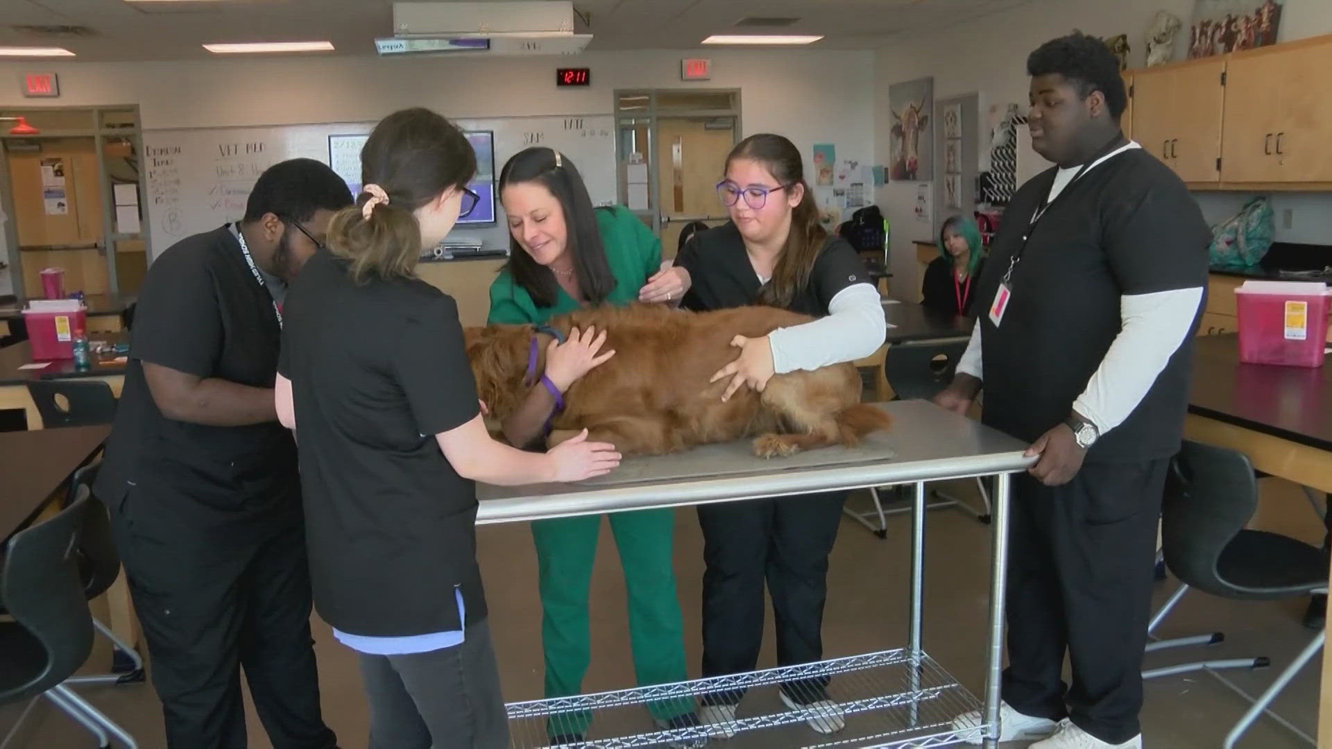 Tyler ISD’s animal science students gain real‑world skills through free ...