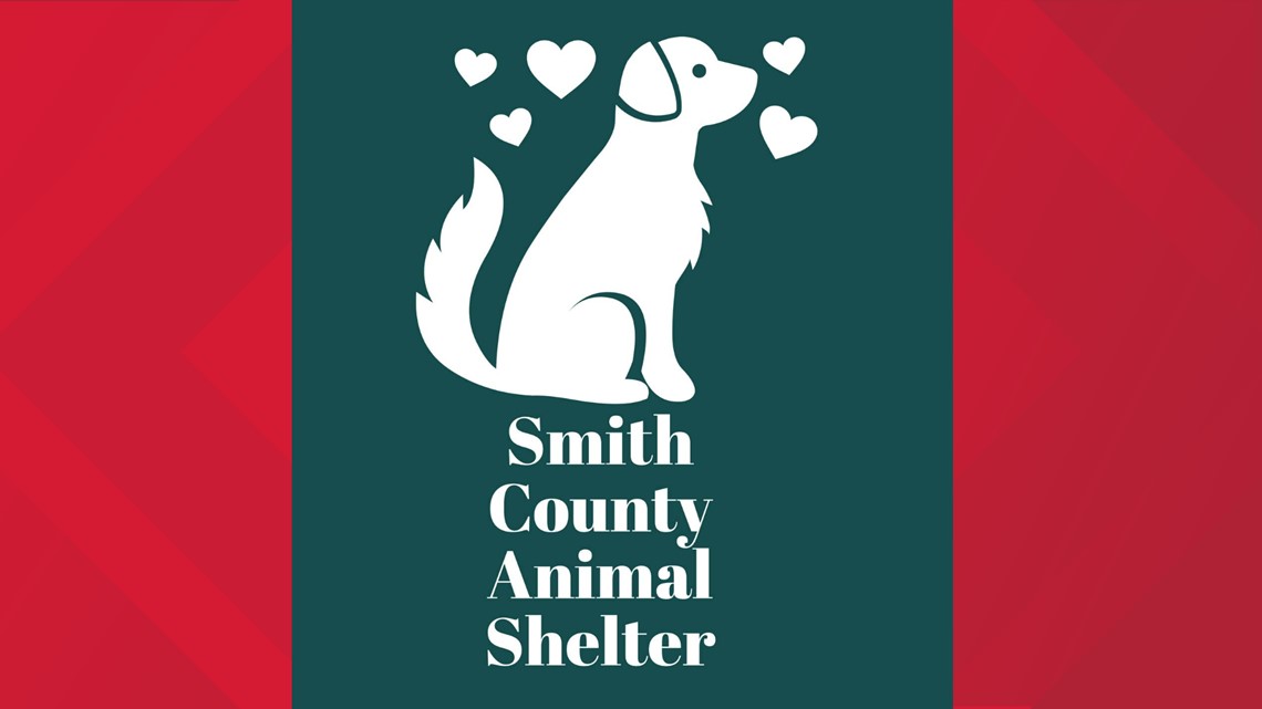 Dogs adoption feeds waived at the Smith County Animal Shelter | cbs19.tv
