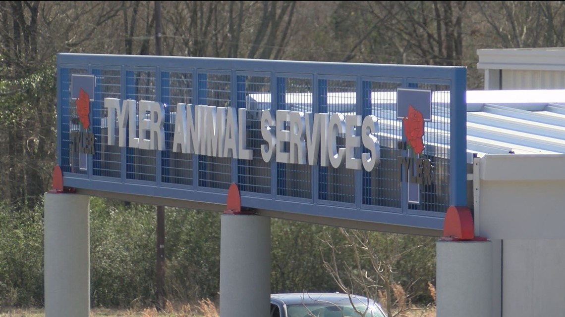 New ordinance clarifies standards in Tyler animal neglect, cruelty ...