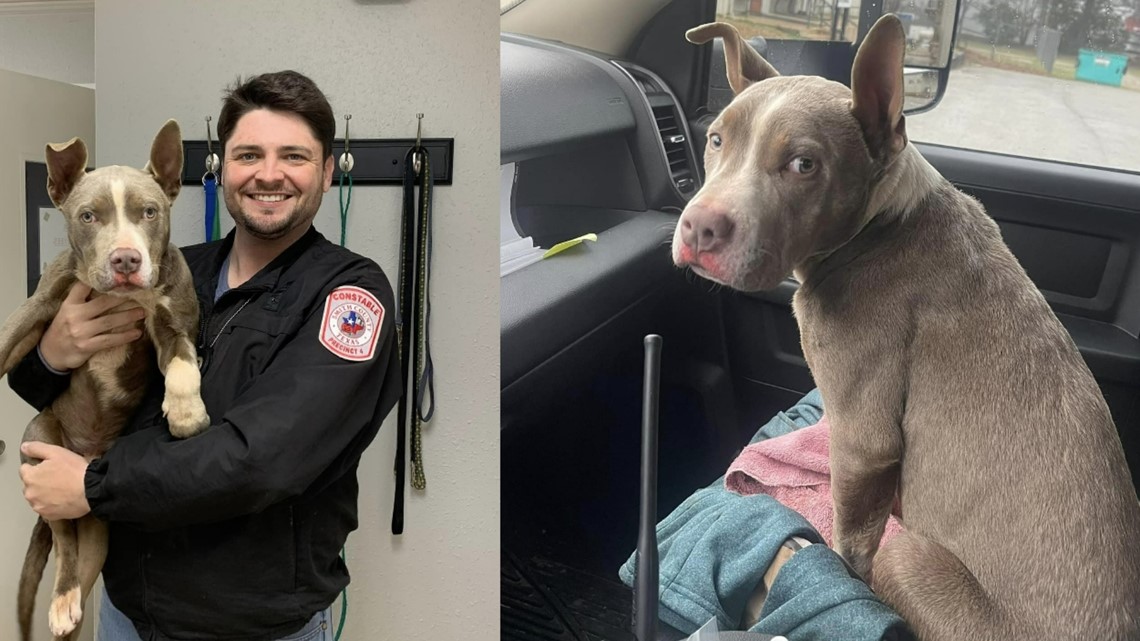 Smith County constable rescues dog left on side of road | cbs19.tv