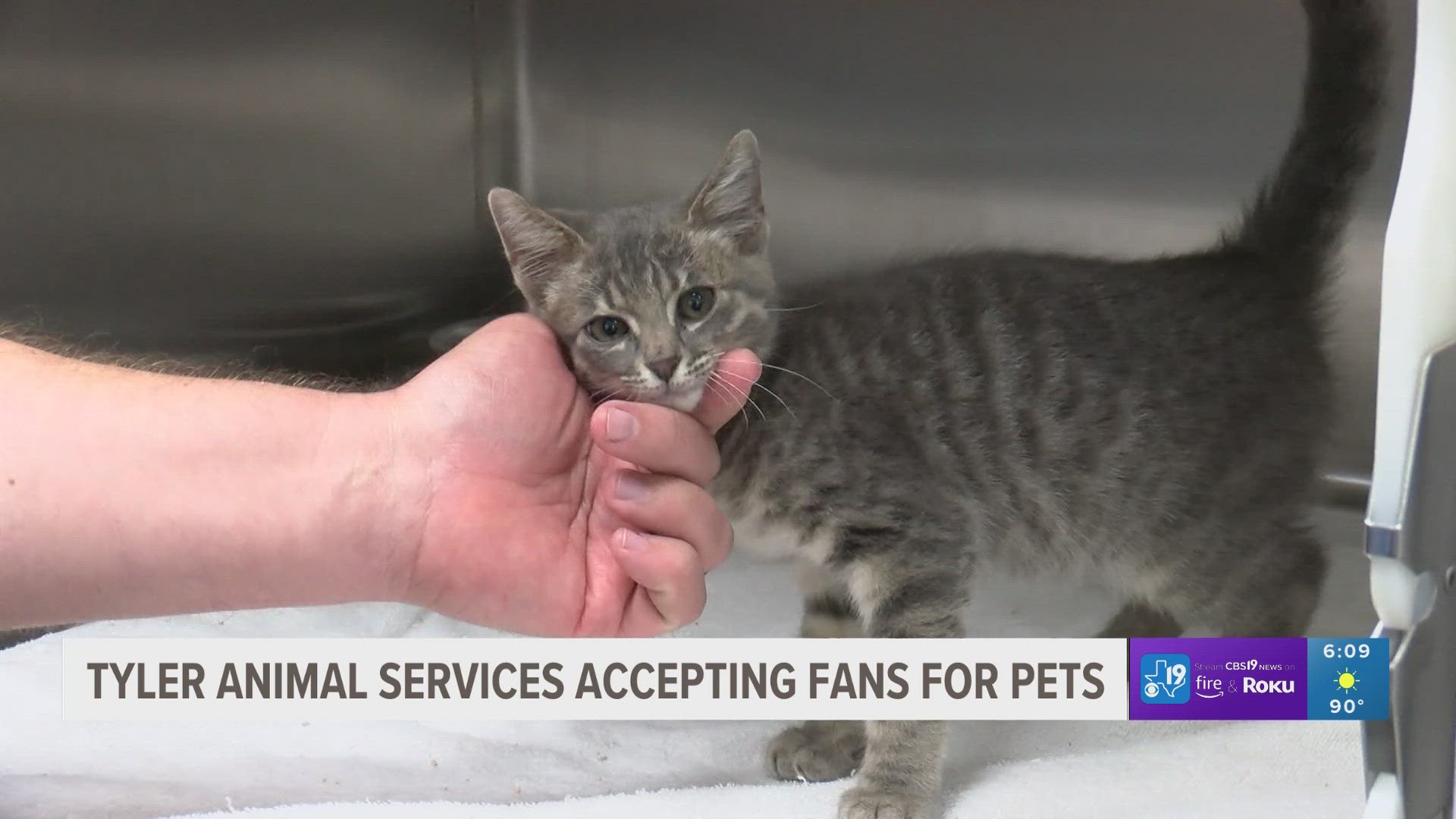 Adoptions free in July at Tyler Animal Shelter with fan donation | cbs19.tv