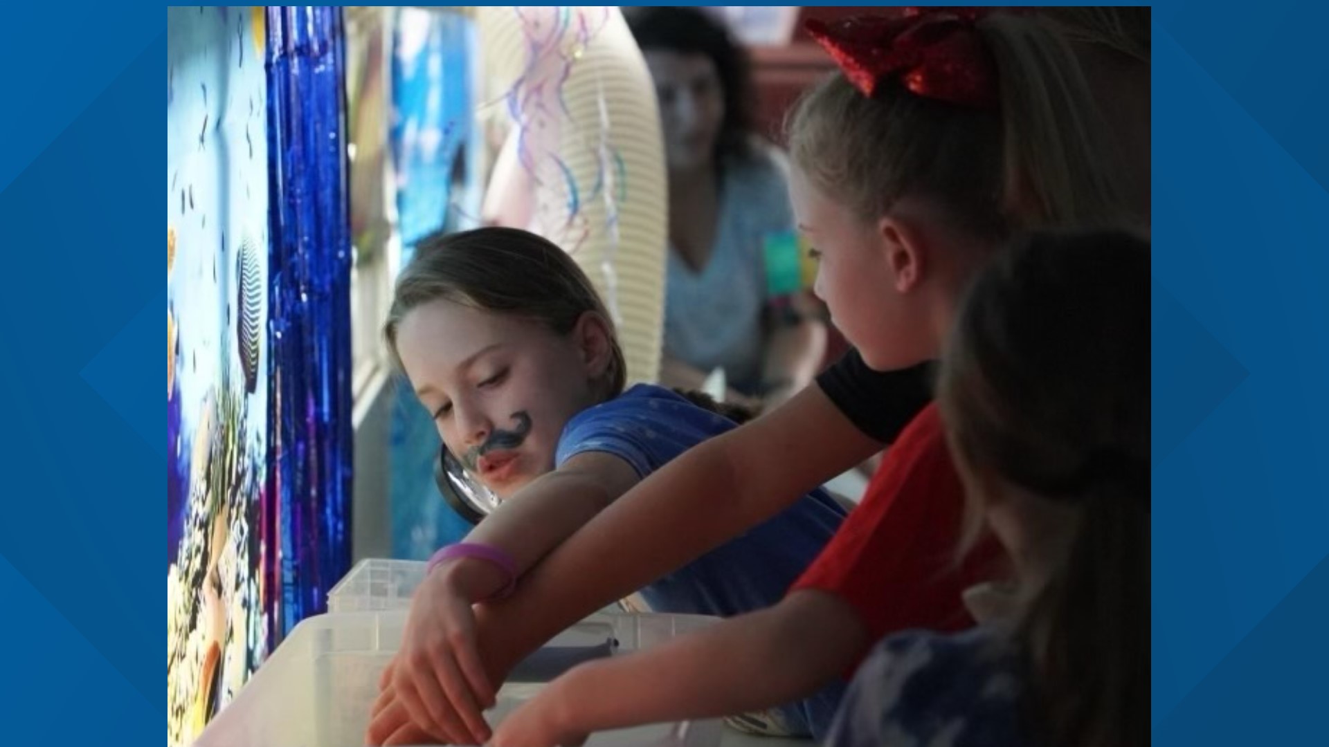 Invasive "Salt Cedar" trees are the perfect fuel for fire | cbs19.tv