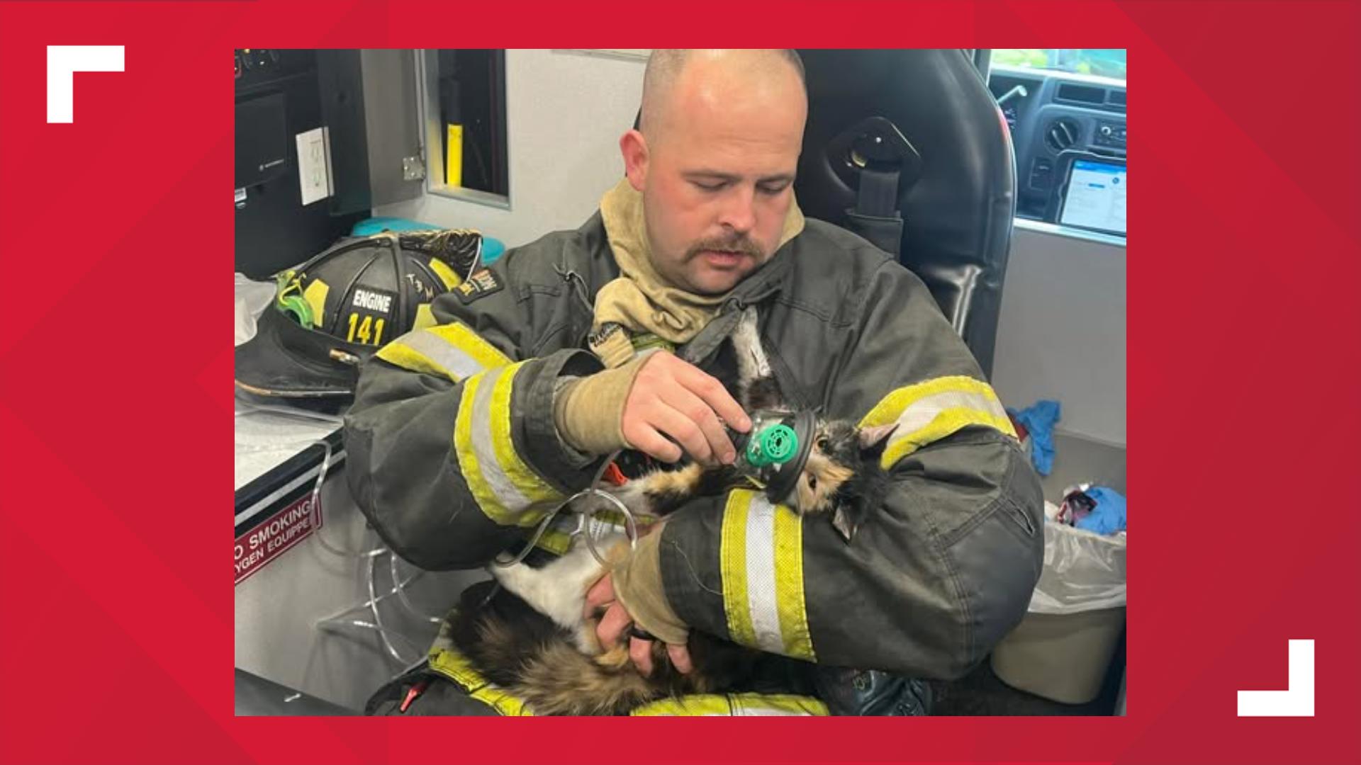 CHURCH CARDINAL: Inquiry from pope found continued leadership of now ...