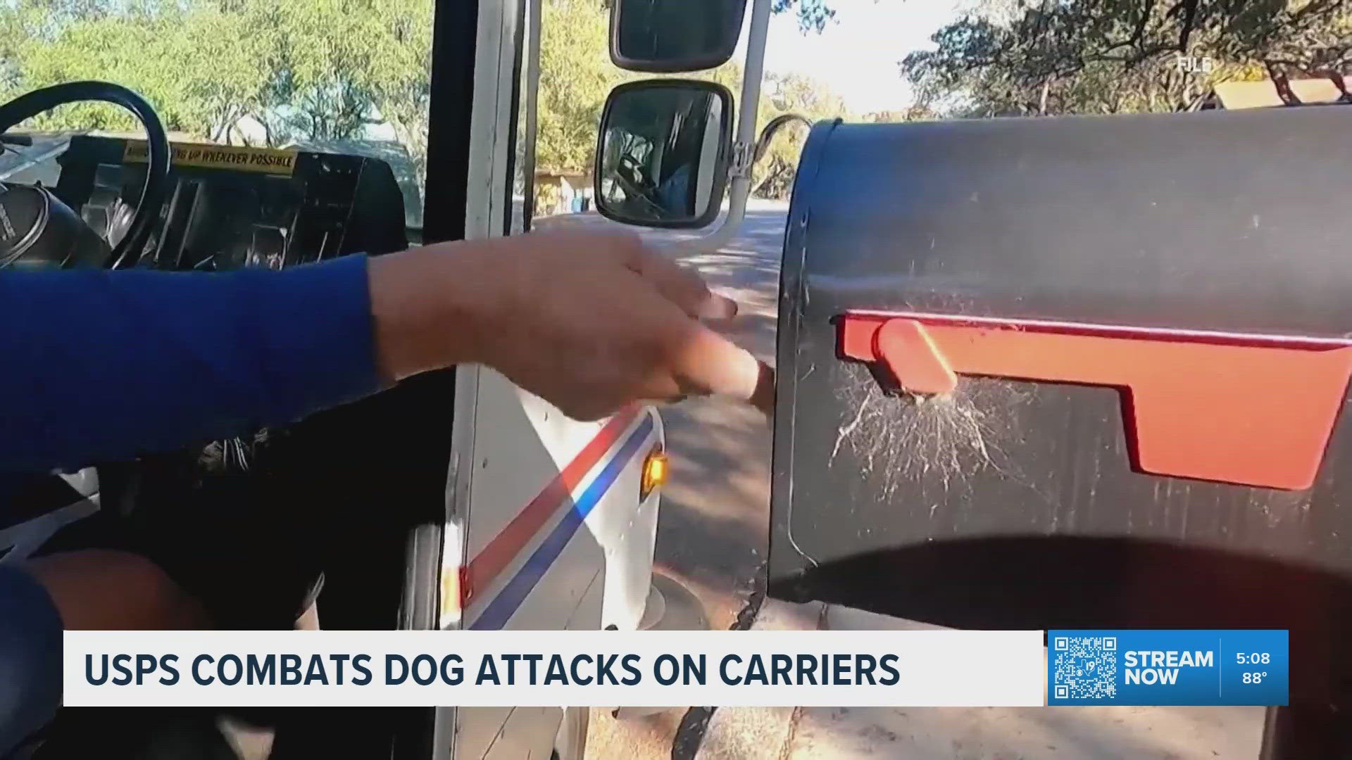 USPS warns of dog attacks as Texas ranks among highest in nation | cbs19.tv