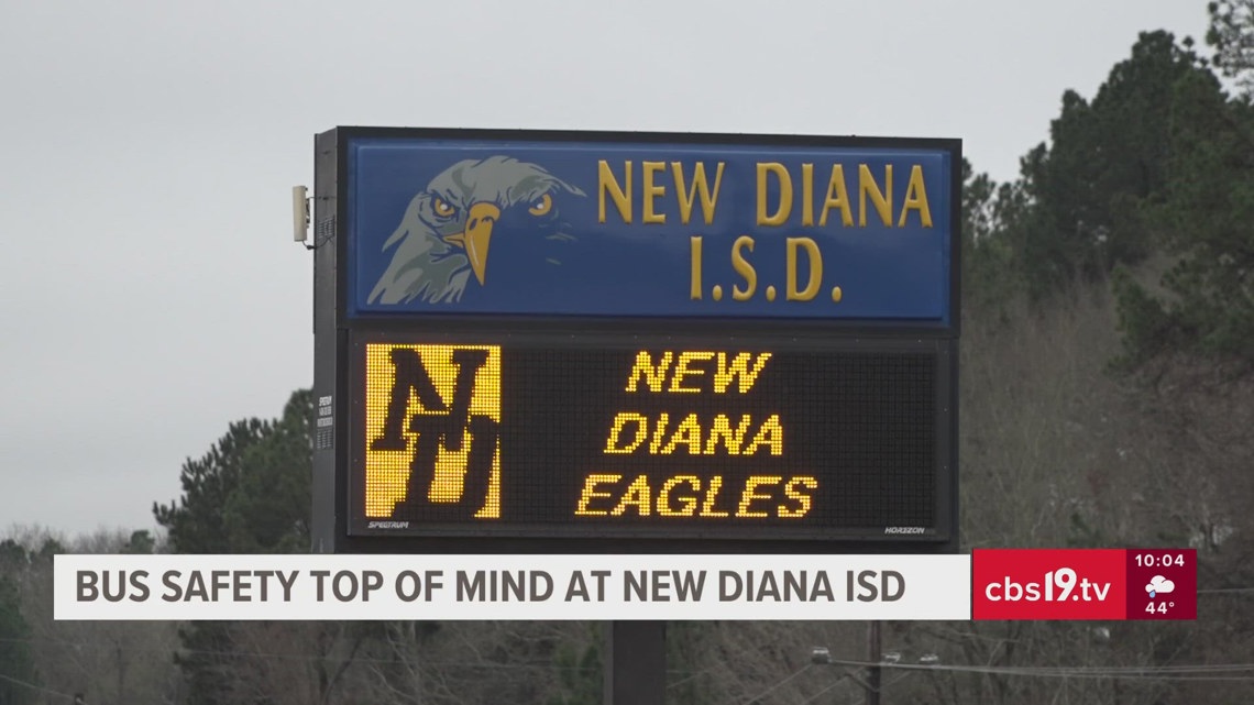 New Diana officials share future safety plans after accident involving ...