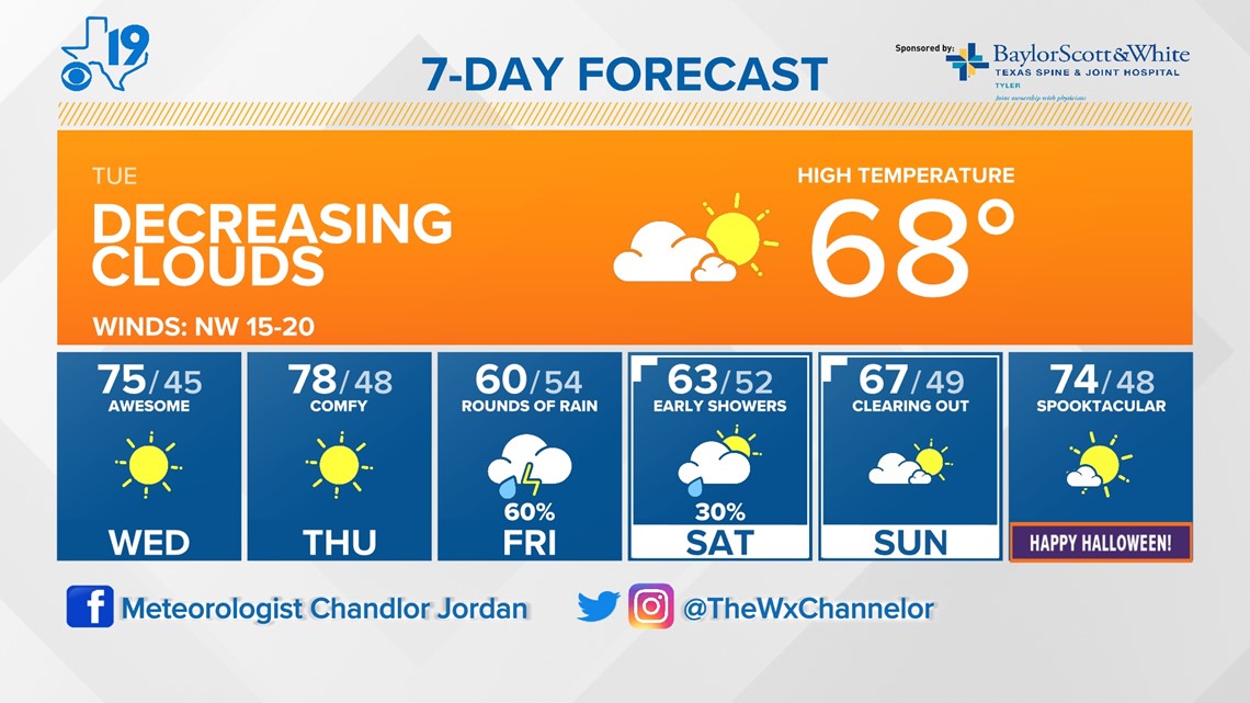 VERIFY: Dead bull shark found in Trinity River | cbs19.tv