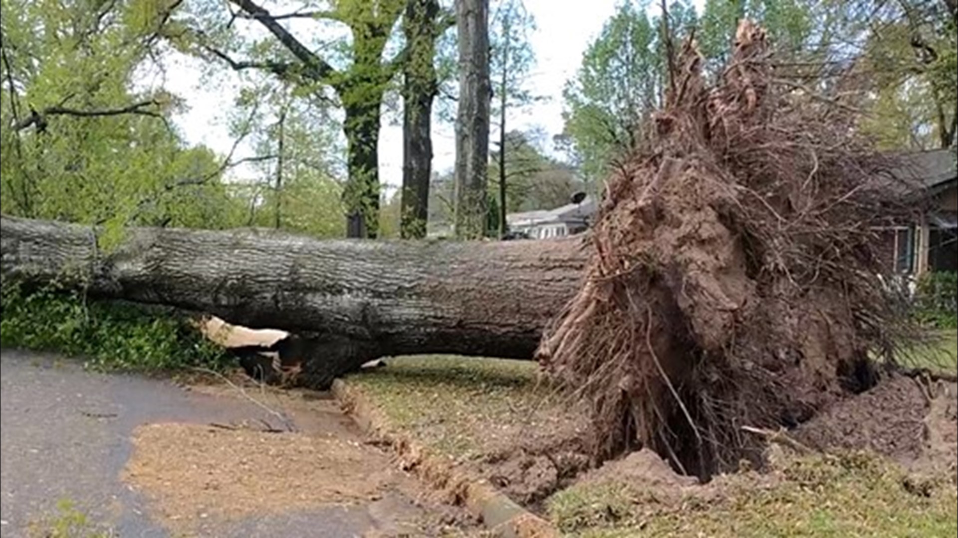 Tornado or straight-line wind: understanding severe weather | cbs19.tv