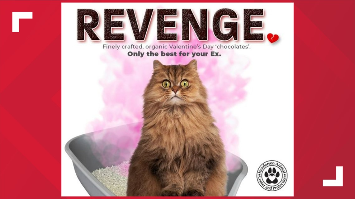 Mix your ex's name with litter at an East Texas animal shelter! | cbs19.tv