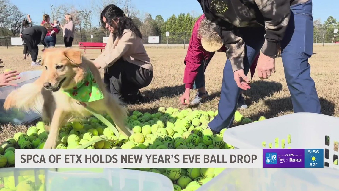 SPCA of East Texas hosts New Year's Eve ball drop | cbs19.tv