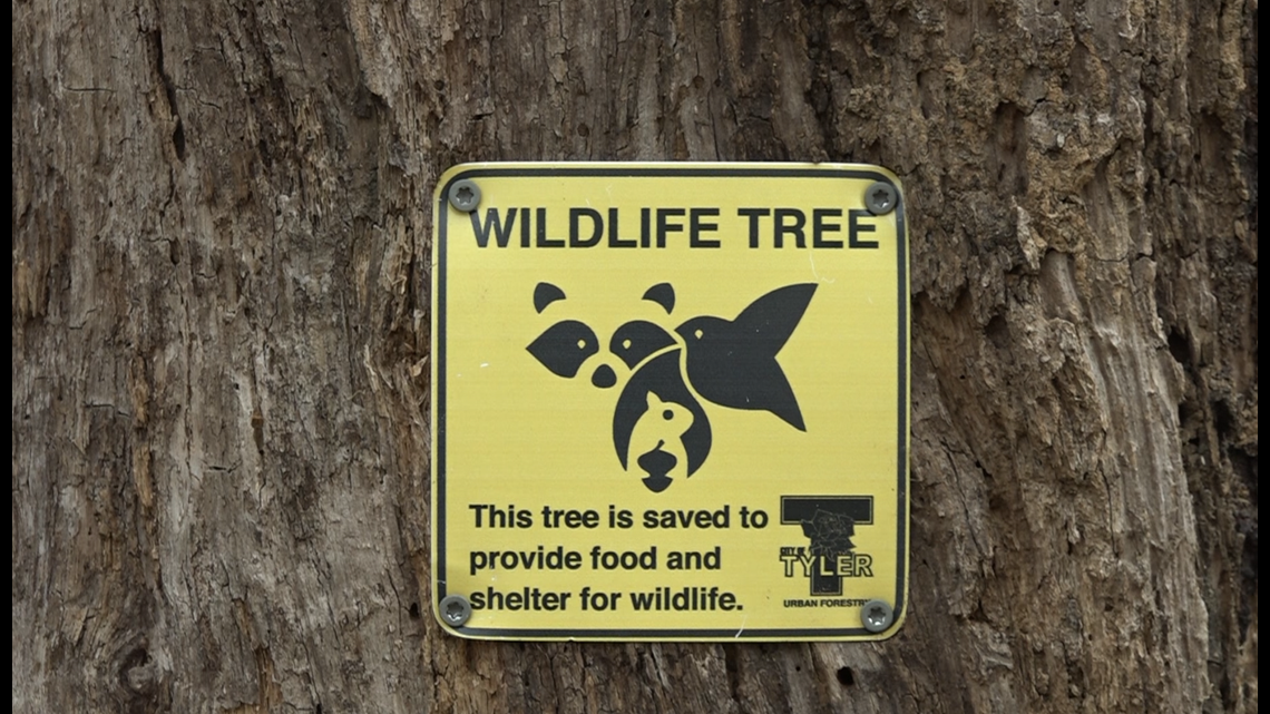 Signs on Tyler trees designated to benefit wildlife | cbs19.tv