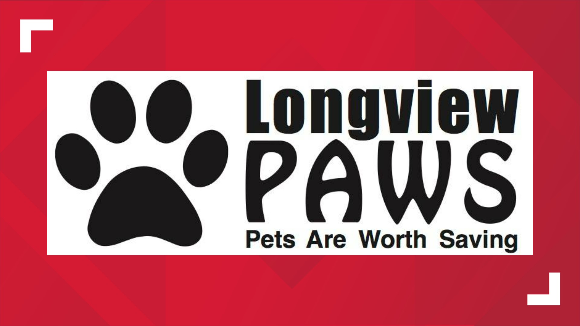 Vaccine, microchip clinic for pets coming to Longview | cbs19.tv