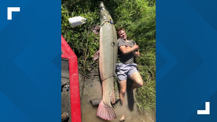 Monster alligator gar caught on Texas lake | cbs19.tv