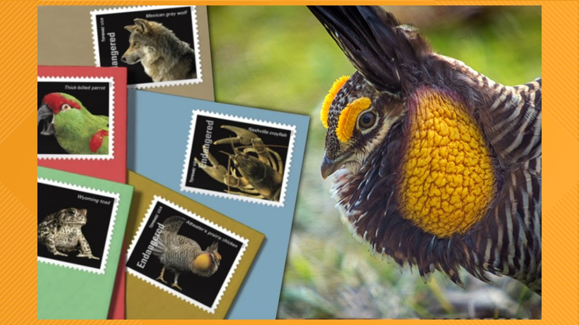 Caldwell Zoo to be featured on USPS Endangered Species stamps | cbs19.tv