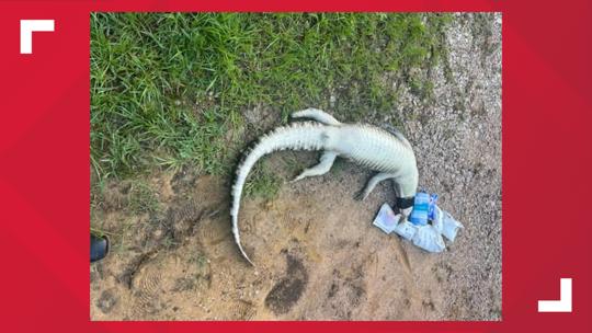 TOP 19: ARREST AFFIDAVIT: East Texas man wrapped mother's body in tarp ...