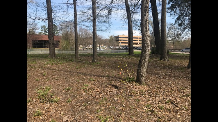 "Walk with a Doc" begins today in Tyler | cbs19.tv